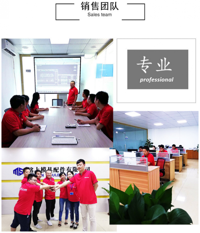 Special Head Core Pins Die Casting Mold Parts